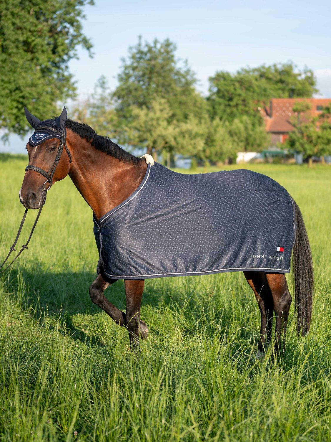 Tommy Hilfiger Equestrian Windsor Light Dry Print Abschwitzdecke Horse Shop